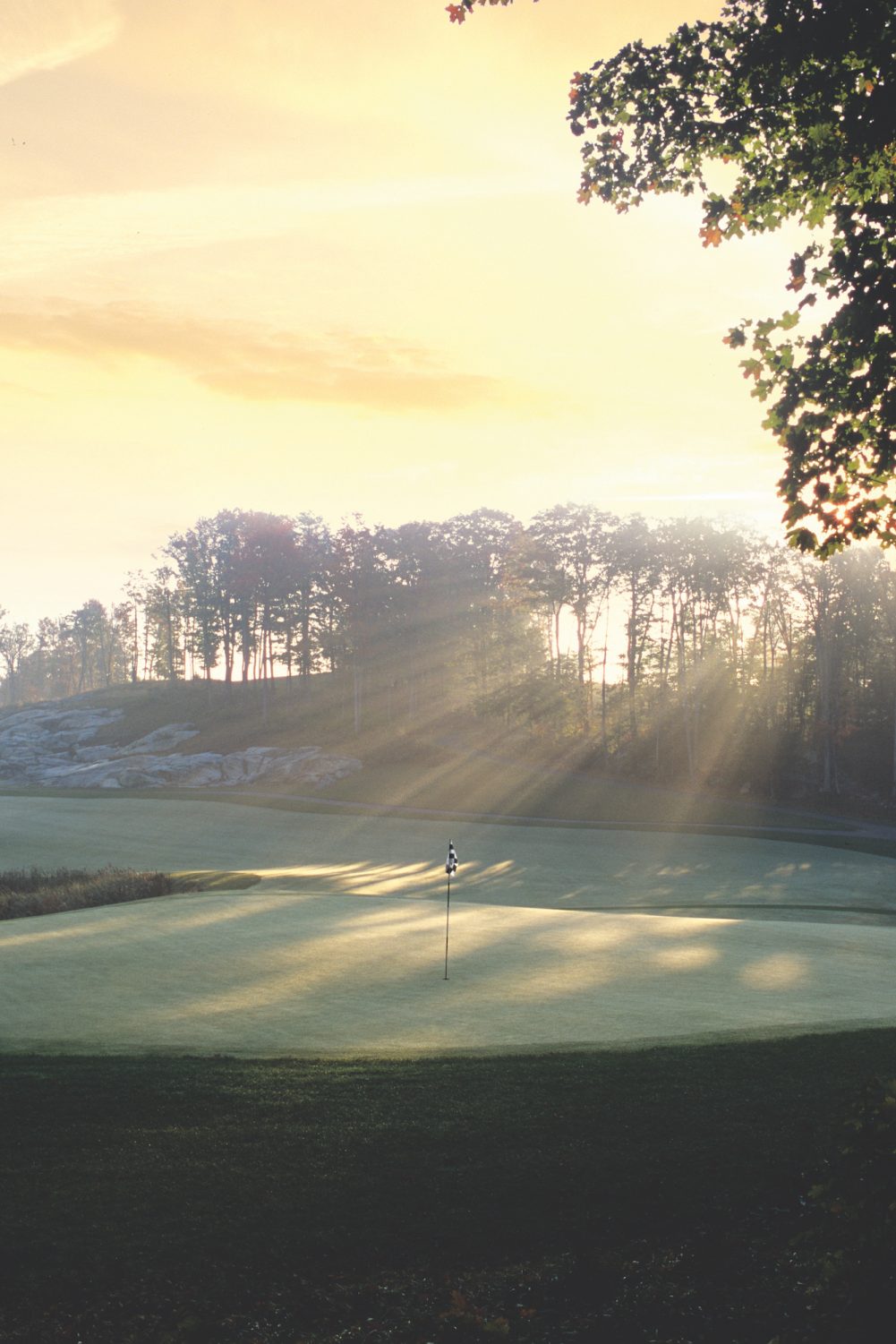 Contact – The Rock